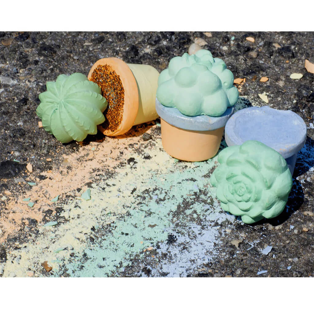 Twee Sidewalk Chalk Maya & Siona's Succulents | NINI and LOLI