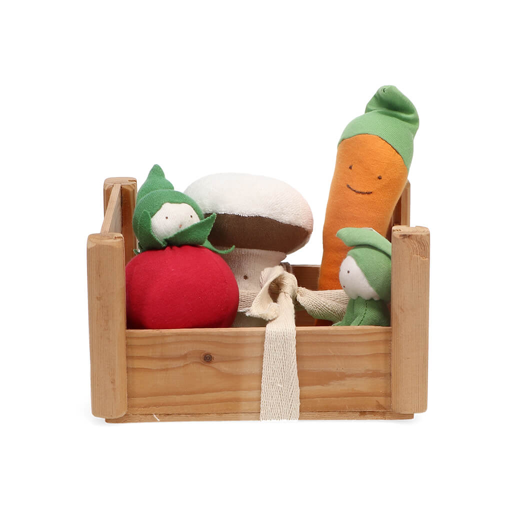 Vegetable Basket – NINI and LOLI