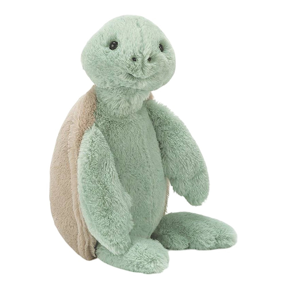 Bashful Turtle – NINI and LOLI