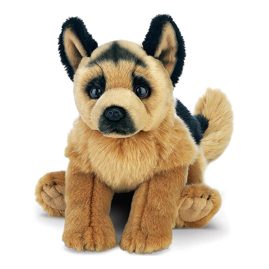 Chief the German Shepherd – NINI and LOLI