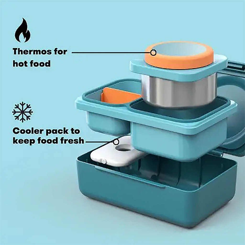 OmieBox UP Insulated Hot & Cold Bento Box Teal Green – NINI and LOLI