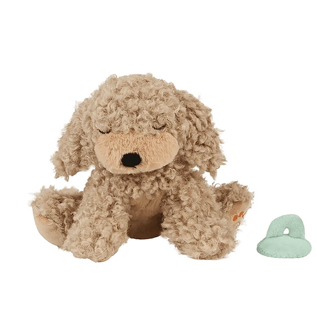 Binky Puppy Benny Gold – NINI and LOLI