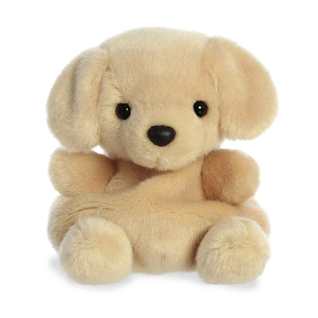 Palm Sunny Lab – NINI and LOLI