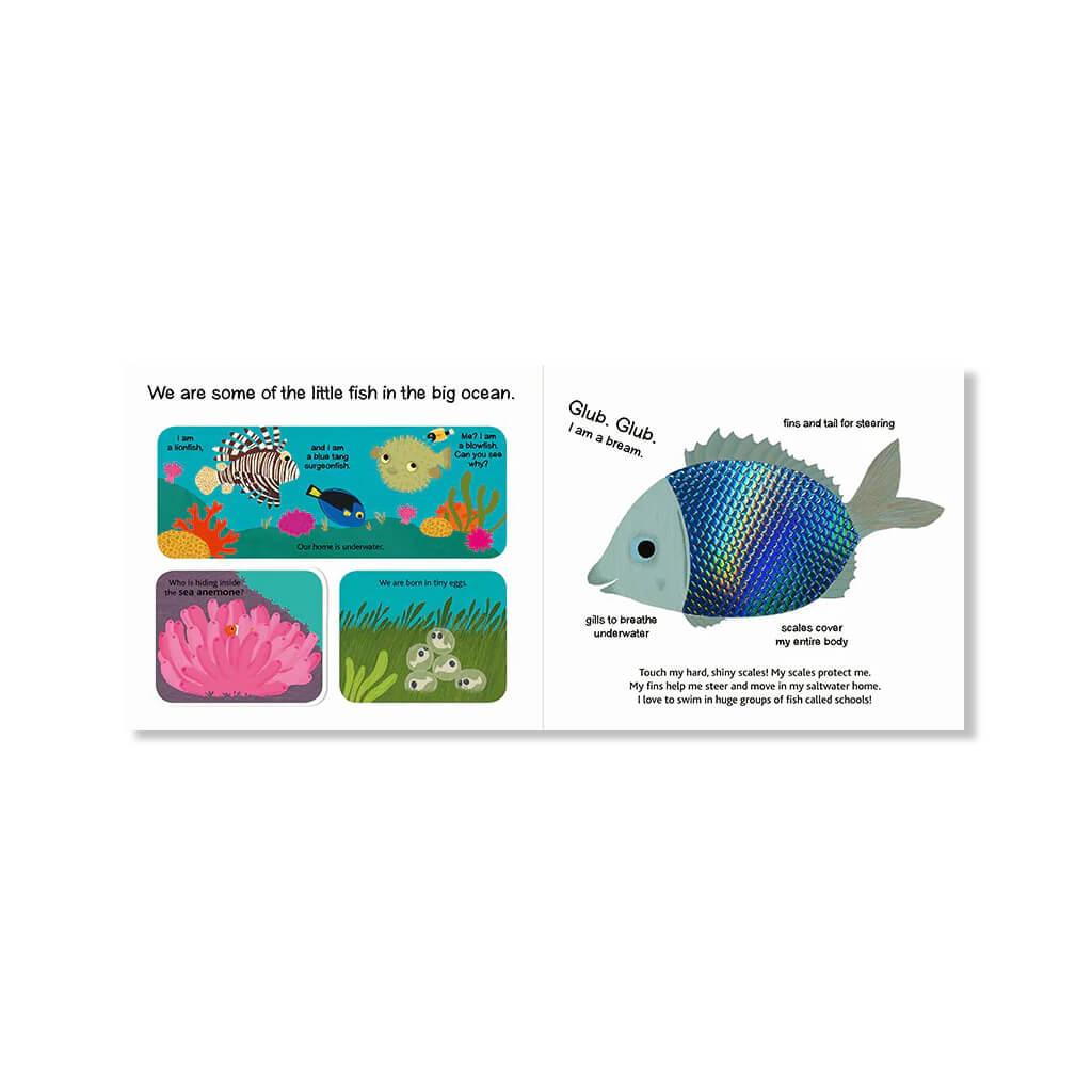 Chronicle Books Touch and Explore The Ocean | NINI and LOLI