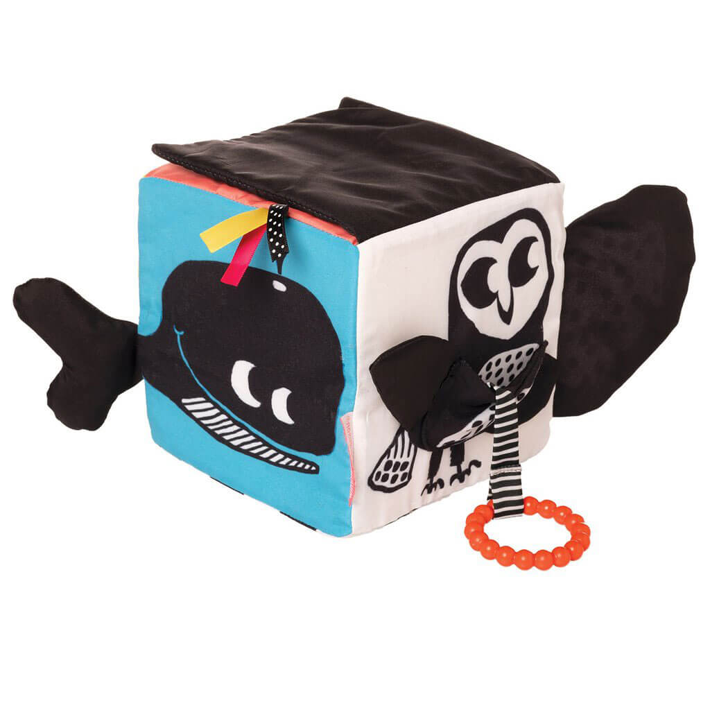 Wimmer Ferguson Learning Cube | Manhattan Toys | NINI and LOLI
