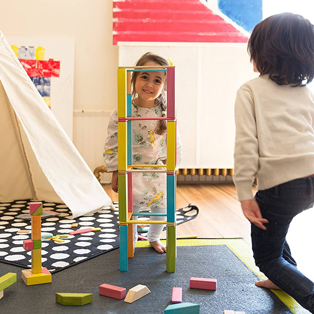 Tegu Magnetic Wooden Blocks Tints 24 Piece Set | NINI and LOLI