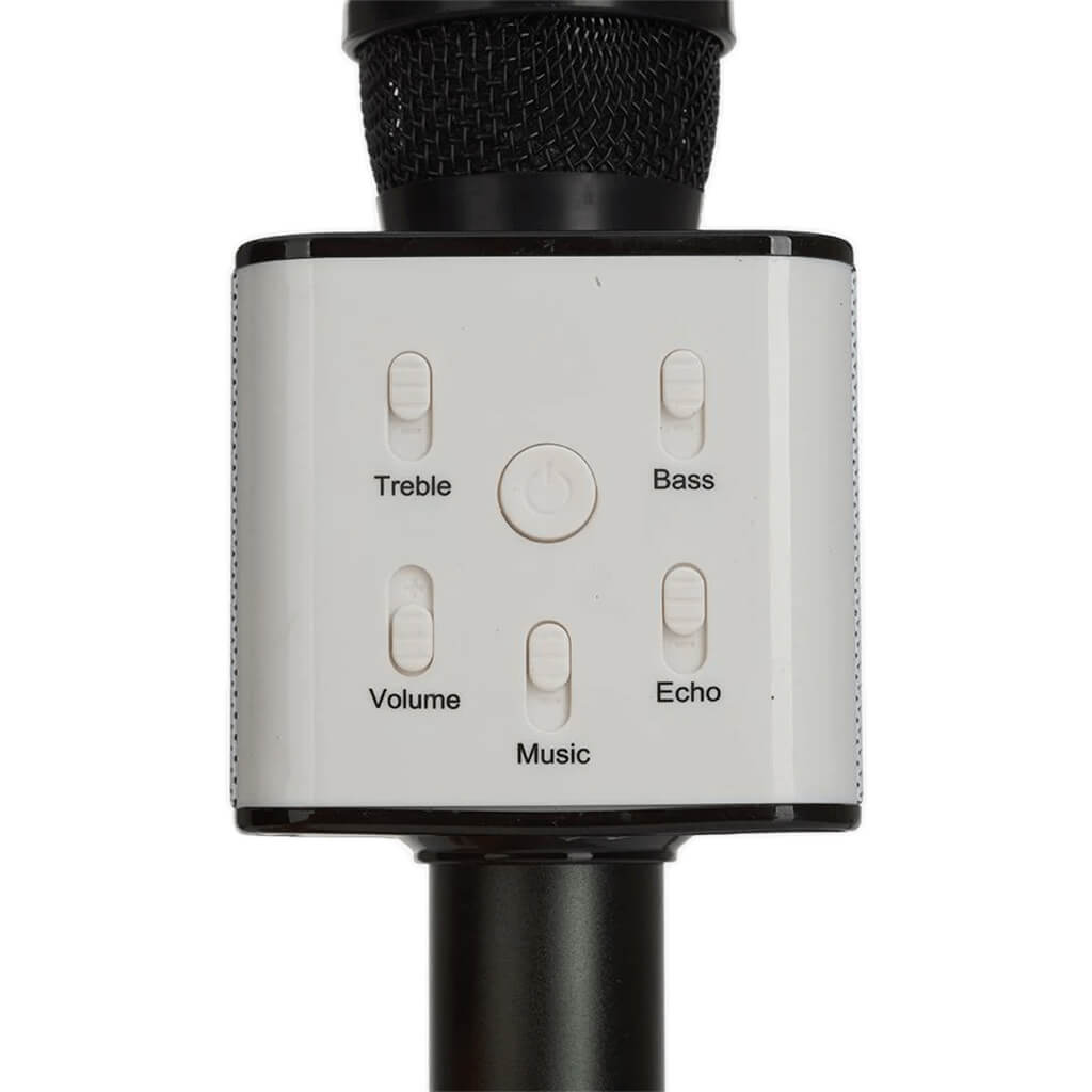 Sing Along Pro Karaoke Microphone | Trend Tech Brands | NINI and LOLI