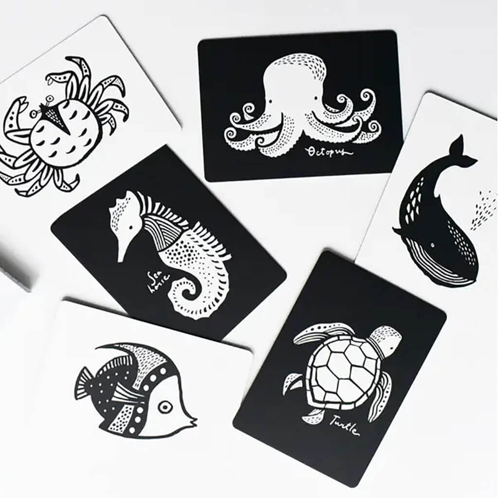 Art Cards for Baby Ocean | Wee Gallery | NINI and LOLI