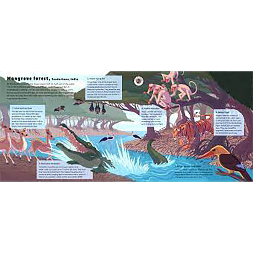 Sounds of Nature: World of Forests Book | Wide-Eyed Edition – NINI and LOLI